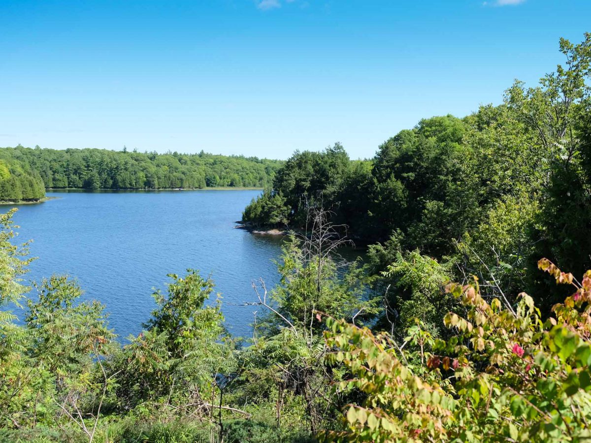 Little Silver & Rainbow Lakes – Property Owners' Association in Lanark ...