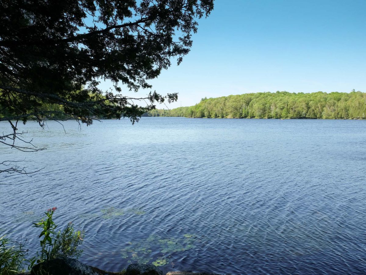 Little Silver & Rainbow Lakes – Property Owners' Association in Lanark ...